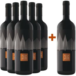 Ronco dei Pini 5+1 Paket Sauvignon Friuli Colli Orientali Blanc 2024 Trocken - Friaul &ndash; Probierpaket DOC