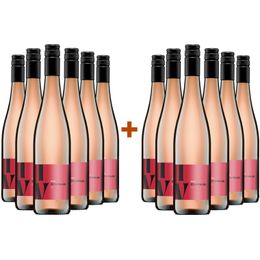Weingut Franz 6+6 Paket Civinus Ros&eacute; 2024 Trocken - Rheinhessen &ndash; Probierpaket Qualit&auml;tswein