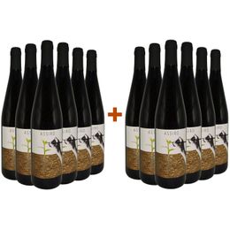 Clio Cicogni 6+6 Paket Assiro Toscana Merlot 2020 Trocken - Toskana &ndash; Probierpaket IGP