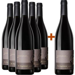 Kandlerhof 5+1 Paket St.Magdalener Classico Alto Adige Schiava 2024 Trocken - S&uuml;dtirol &ndash; Probierpaket DOC