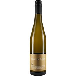 Weingut Zimmer Mengel s Sp&auml;tburgunder 2024 Feinherb - Rheinhessen &ndash; Blanc de Noir Qualit&auml;tswein