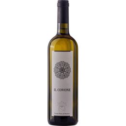 Tenuta Piano di Rustano Il Covone Marche Malvasia Bianca Candia 2024 Trocken - Marken &ndash; Wei&szlig;wein IGP