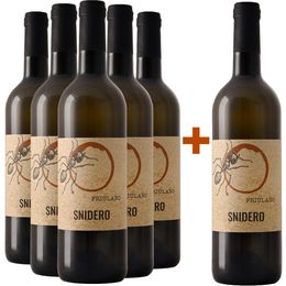 Snidero Vini 5+1 Paket Friuli Colli Orientali Friulano 2022 Trocken - Friaul &ndash; Probierpaket DOC