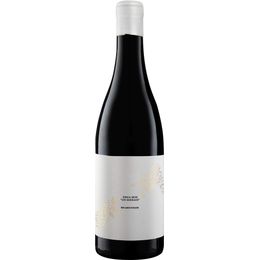 Algil Bodegas y Viñedos Finca Seve los Quemaos Tempranillo 2020 Trocken - San Roman de Hornija Kastilien und León – Rotwein DOP