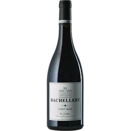 Domaines Julien & Fils Pays d'Oc Pinot Noir 2023 Trocken - Languedoc &ndash; Rotwein IGP