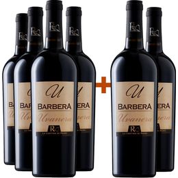 La Cantina di Remo 4+2 Paket Barbera Terre degli Osci Cuv&eacute;e 2021 - Molise &ndash; Probierpaket IGP