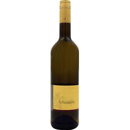 Weingut Chumbderhof Scheurebe 2024 Lieblich - Rheinhessen &ndash; Wei&szlig;wein Kabinett