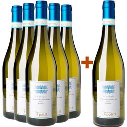 Cantine Politi 5+1 Paket Frattali Verdicchio dei Castelli di Jesi Bianco Trocken - Marken &ndash; Probierpaket DOC