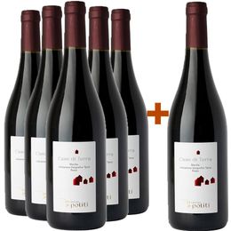 Cantine Politi 5+1 Paket Case di Terra Marche Cuv&eacute;e Trocken - Marken &ndash; Probierpaket IGP