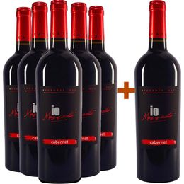 Io Mazzucato 5+1 Paket Breganze Cabernet Sauvignon 2019 Trocken - Venetien &ndash; Probierpaket DOC