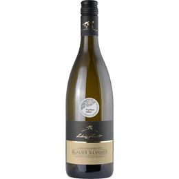 Weingut Ludwig Schmitt Blauer Silvaner 2023 Trocken - Gerbrunner Hummelberg Franken &ndash; Wei&szlig;wein Qualit&auml;tswein