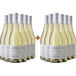 Cantina Colonnella 6+6 Paket Parhelia Colline Teramane D'Abruzzo Superiore Trebbiano 2024 Trocken - Abruzzen &ndash; Probierpaket DOC
