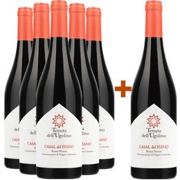 Tenuta dell'Ugolino 5+1 Paket Casal del Piano Rosso Piceno Cuv&eacute;e 2024 Trocken - Marken &ndash; Probierpaket DOC