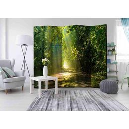 Pharao24.de Leinwand Paravent mit Wald Motiv bei Sonnenschein 225 cm breit