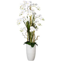 Kunstorchidee Creativ green "Deko-Orchidee Phalaenopsis XXL im Keramiktopf", weiß, B:65cm H:160cm L:50cm, Obermaterial: 100% Polyethylen, Kunstpflanzen