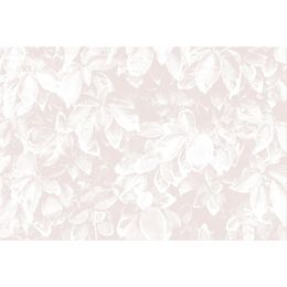 ARCHITECTS PAPER Fototapete &raquo;Atelier 47 Light Leaves 2&laquo; floral glatt Vlies, Wand, Schr&auml;ge, Decke beige Vlies