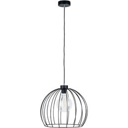 BRITOP LIGHTING Pendelleuchte »Coop« E27 1 Stk. Dekorative Leuchte aus Metall, passende LM E27 / exkl., Made in Europe schwarz