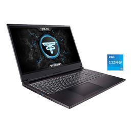 Hyrican Gaming-Notebook »Striker 1647« 39, 62 cm / 15, 6 ′′ Intel Core i5 GeForce RTX 3050 Ti 1.000 GB SSD 16 GB RAM schwarz Nvidia Geforce...
