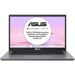 ASUS Chromebook »Plus CM3401FFA-LZ0146« 35, 56 cm / 14 ′′ Intel Core i3 UHD Graphics;Type C 256 GB SSD CX3402CBA grau