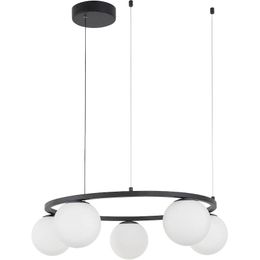 NOVA LUCE LED-H&auml;ngeleuchte &raquo;JOLINE&laquo; LED-Modul 1 Stk. schwarz