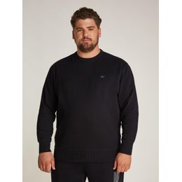 Sweatshirt "PLUS WOVEN LABEL CREW NECK", Herren, Gr. 5XL (62), schwarz (ck schwarz), Sweatware, Obermaterial: 100% Baumwolle, Calvin Klein Jeans Plus, unifarben, regular fit, Rundhals, Bündchen, Sweatshirts Sweatshirt, in großen Größen