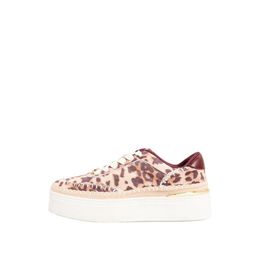 Lipsy Sneaker Damen Größe 36 beige / camel / burgunder