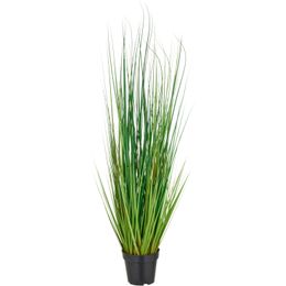 Kunstgras Creativ green "Grasbusch Miscanthus", grün, H:115cm, Kunststoff, Kunstpflanzen, mit naturgetreuen Grashalmen