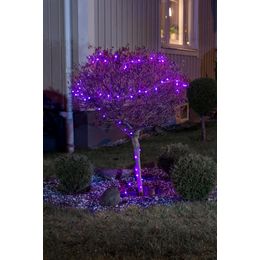 Konstsmide LED-Lichterkette "Weihnachtsdeko aussen", schwarz, Dioden 80 Stk. Flammen 80 Stk., Kabellänge 5m x Gesamtlänge 11,32m, Lichterketten, LED Globelichterkette, runde Dioden, mit rot/blau Farbwechsel