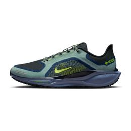Nike Pegasus 41 GTX Herren