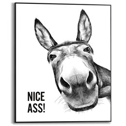 SONSTIGE Bild NICE ASS