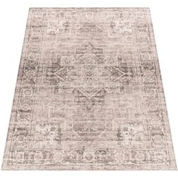 Paco Home Teppich &raquo;Cambridge 461&laquo; rechteckig 12 mm H&ouml;he Kurzflor, orientalisches Muster, Vintage Design Beige Obermaterial: 100% Polyester B : 120...