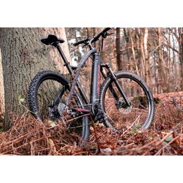 Adore »XPOSE« 9 Gang Shimano Altus Schaltwerk Kettenschaltung Mittelmotor 250 W Pedelec, Elektrofahrrad für Damen u. Herren, MTB schwarz+schwarz