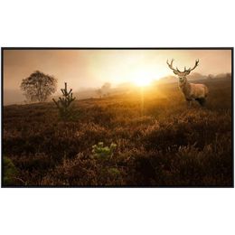 papermoon Infrarotheizung &raquo;Hirsch in Landschaft&laquo; sehr angenehme Strahlungsw&auml;rme bunt Aluminium Kabell&auml;nge 2 m