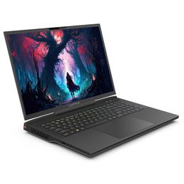 Captiva Gaming-Notebook &raquo;Ultimate Gaming I81-522&laquo; Intel Core i9 GeForce RTX 4090 1.000 GB SSD schwarz Windows 11 Home 64-bit