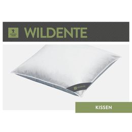 Spessarttraum Daunenkissen &raquo;Wildente&laquo; 1 Stk. tlg. Kopfkissen 40x80cm & weitere Gr&ouml;&szlig;en silber Bezug: 100% Baumwolle. F&uuml;llung: 60% Daunen, 40% Federn