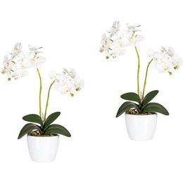 Creativ green Kunstpflanze »Phalaenopsis« weiß