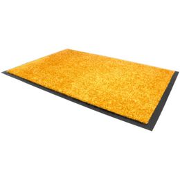 PRIMAFLOR-IDEEN IN TEXTIL Fu&szlig;matte &raquo;Schmutzfangmatte CLEAN PRO, Made in Belgium&laquo; rechteckig 8 mm H&ouml;he Uni-Farben, UV-best&auml;ndig, strapazierf&auml;hig,...