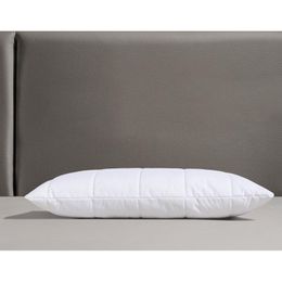 f.a.n. fan Microfaserkissen &raquo;St&uuml;tzendes Kopfkissen Komfort Plus XXL-Warm, in 40x80 oder 80x80 cm&laquo; 1 Stk. tlg. flauschig, kuscheliges Kopfkissen wei&szlig; Bezug: 