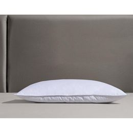 Ribeco Federkissen &raquo;Kopfkissen Laram, allergikergeeignetes Kissen, in 40x80 oder 80x80 cm&laquo; F&uuml;llung: 90 % Federn, 10 % Daunen 1 Stk. tlg. bietet 