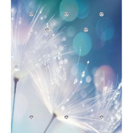 queence Garderobenleiste &raquo;Dandelion&laquo; Wand Garderobe, Pflanze, Pusteblume, platzsparend blau Acrylglas