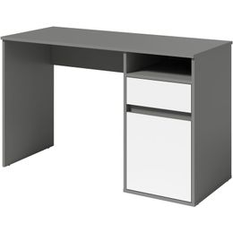 Home Affaire Schreibtisch &raquo;Tinsley&laquo; mit Schublade, und T&uuml;r, Breite 120 x53 cm grau