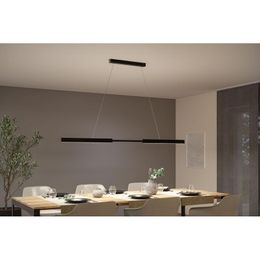 Paulmann LED Pendelleuchte &raquo;LED Pendelleuchte Aptare dimmbar&laquo; 1 Stk. Warmwei&szlig; Memoryfunktion schwarz