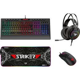 Hyrican Eingabegeräte-Set »Striker Gaming Sparset Level Silver« schwarz