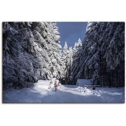 Artland Leinwandbild »Winter im Thüringer Wald II« Waldbilder 1 Stk. tlg. auf Keilrahmen gespannt Farbe Bild(er): blau