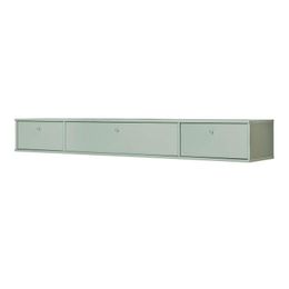 TV-Board &raquo;Mistral Fernsehschrank, Medienm&ouml;bel, H&auml;ngend,&laquo; zwei Schubladen und Klappt&uuml;r, Lowboard, B: 176 cm gr&uuml;n MDF, Massivholz, Spanplatte
