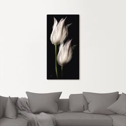 Artland Wandbild »Weiße Tulpen in der Nacht« Blumenbilder 1 Stk. tlg. als Alubild, Outdoorbild, Leinwandbild, Poster, Wandaufkleber Farbe Bild(er):...