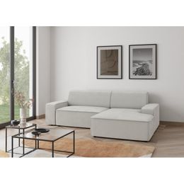 Trendmanufaktur Ecksofa &raquo;Graz, wahlweise mit Sitzvorschub und Bettkasten, L-Form, Breite 246 cm&laquo; in Cord-, haustierfreundlichem LEO Struktur- oder 