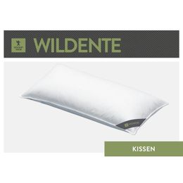 Spessarttraum Daunenkissen &raquo;Wildente&laquo; 1 Stk. tlg. Kopfkissen 40x80cm & weitere Gr&ouml;&szlig;en silber Bezug: 100% Baumwolle. F&uuml;llung: 60% Daunen, 40% Federn