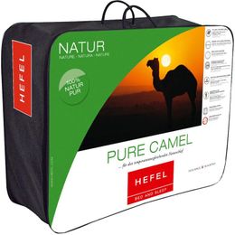 Hefel Naturhaarbettdecke &raquo;Pure Camel&laquo; warm 1 Stk. tlg. beige Bezug: 100% Lyocell (TENCEL ). F&uuml;llung: 100% Kamelhaar