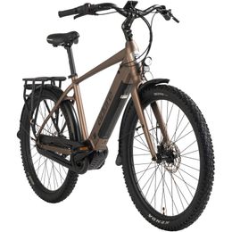 Adore »CX-290« 8 Gang Shimano Nexus Schaltwerk Nabenschaltung Mittelmotor 250 W Pedelec, Elektrofahrrad für Damen u. Herren Bronze matt+Bronze matt